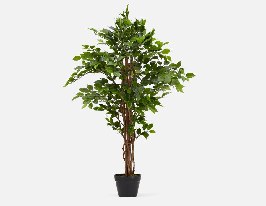 Floral – Exit, Staged Right!